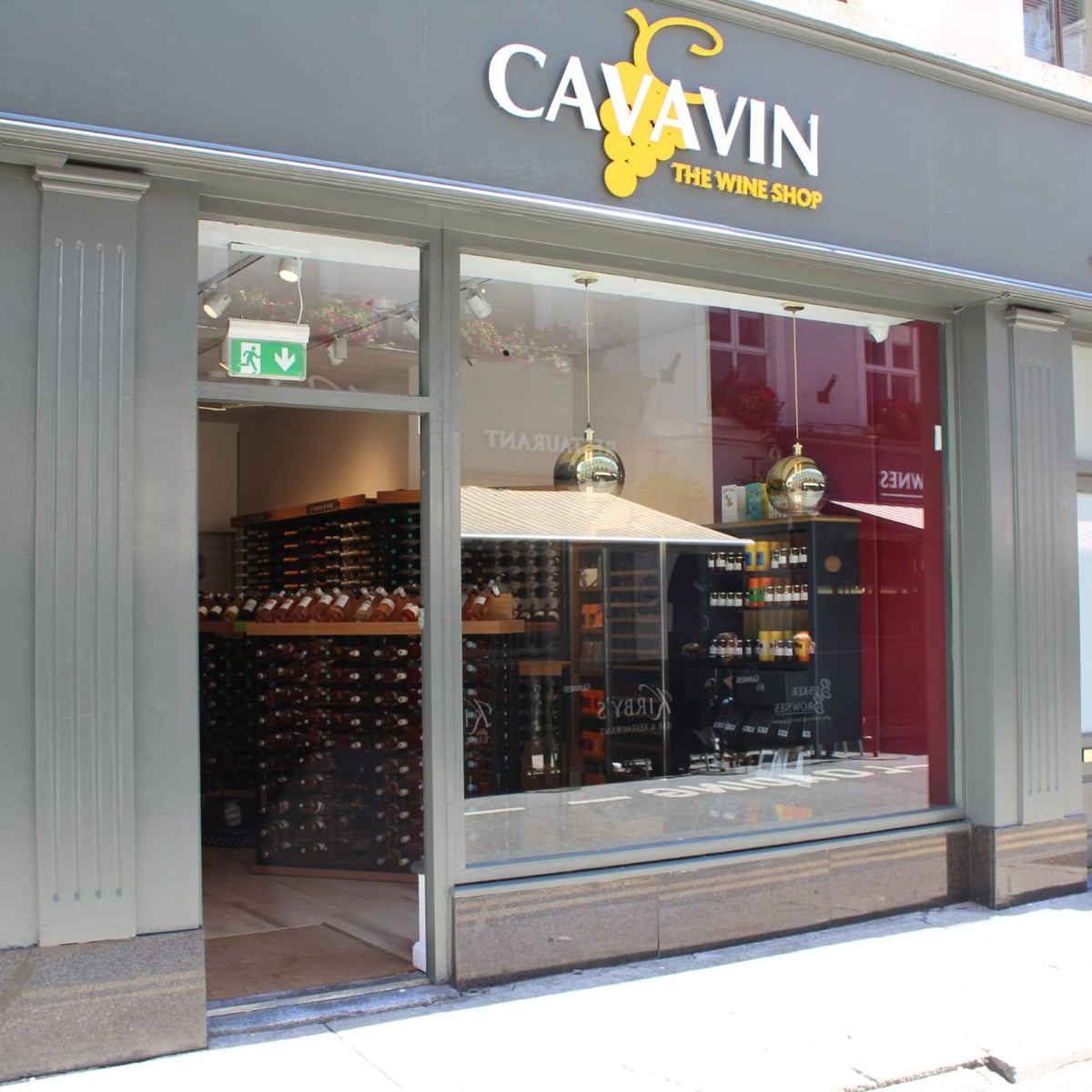 Our First 6 Months!! – Cavavin Ireland